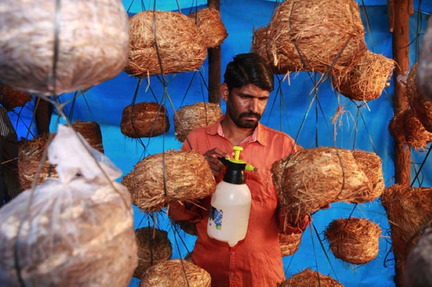 ICICI Foundation creates sustainable livelihood opportunities through ...